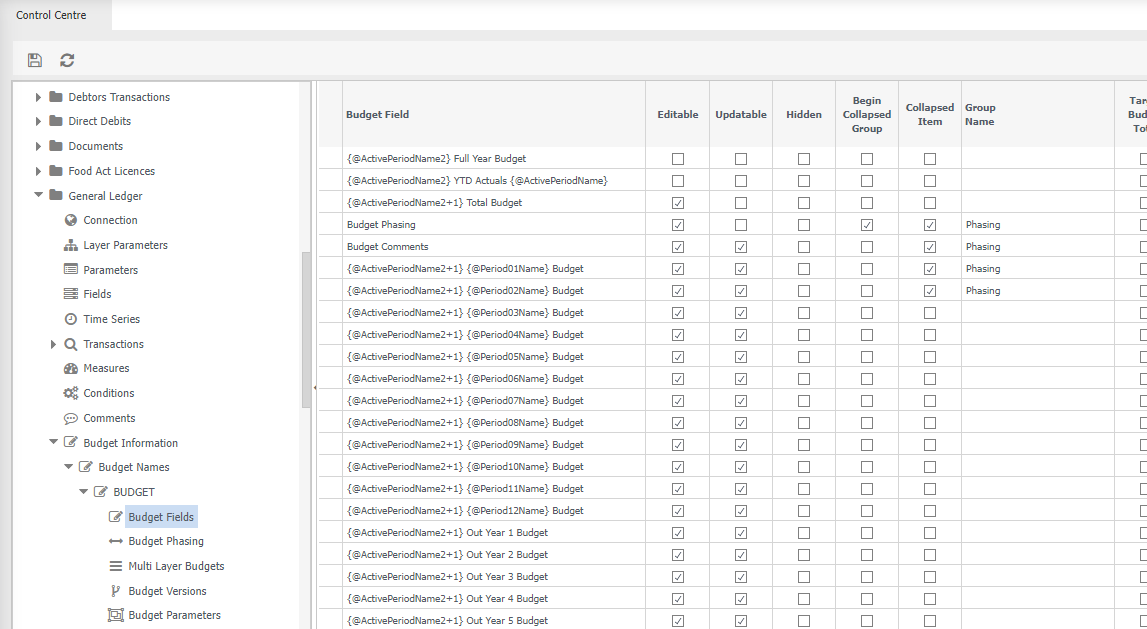 Budget Fields - MAGIQ Performance Online Help